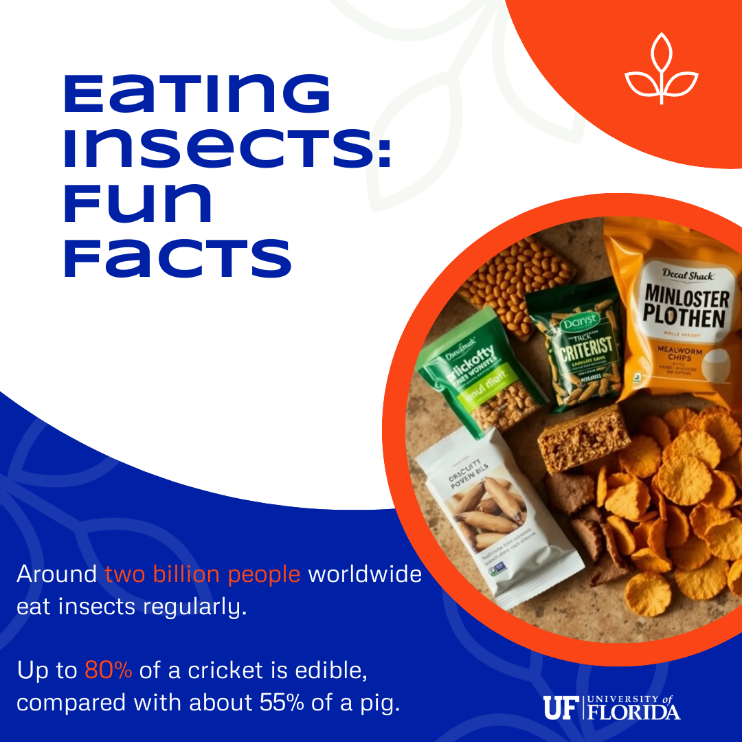 3 Benefits of Eating Insects (and Why Entomophagy Matters) | Entomology ...